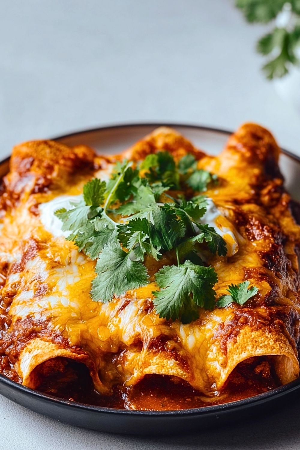 Cheese Enchiladas with Chili Gravy